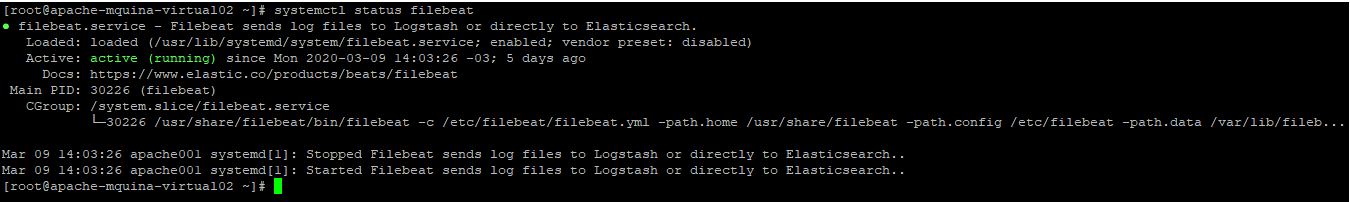 Primeiros passos com Graylog 3
