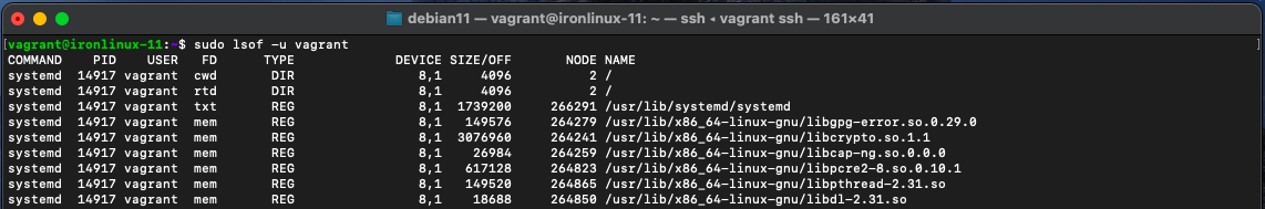 O comando LSOF no Linux