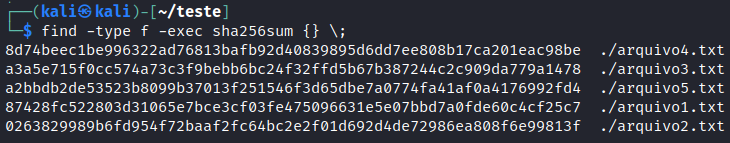 Verificar hash SHA256 via terminal Linux
